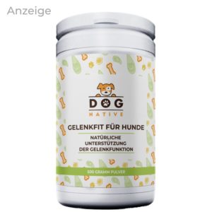 Zeel für Hunde - alles was du wissen musst! - Dog-Native